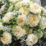 Celebrating the English Rose - Quintessence