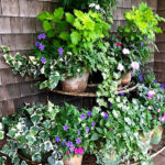 Nantucket by Design 2018 - Quintessence